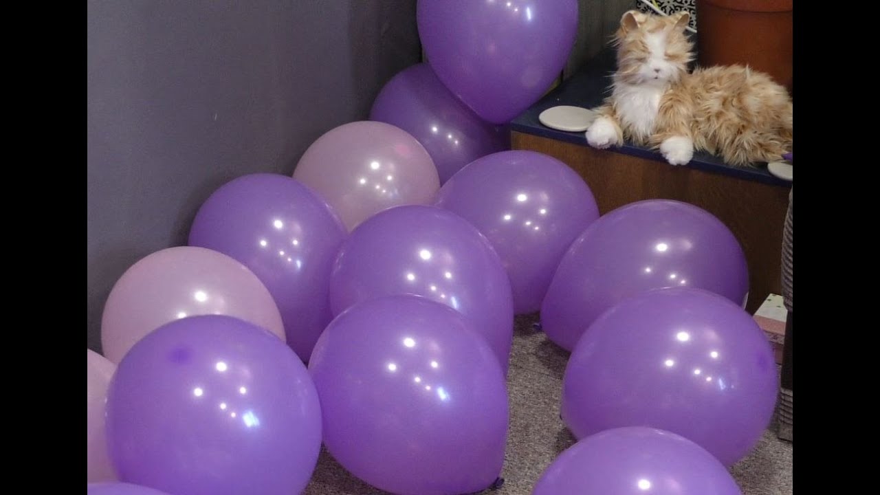 Pink Purple Poppy Pop Balloon Bursting fun Tangobaldy™ - YouTube