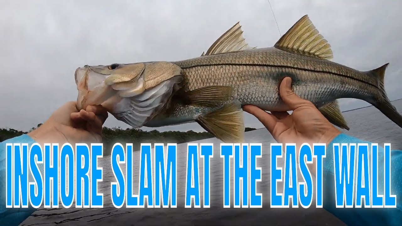 I GOT THE INSHORE SLAM AT THE EAST WALL !!!! SNOOK REDFISH AND SEATROUT ...