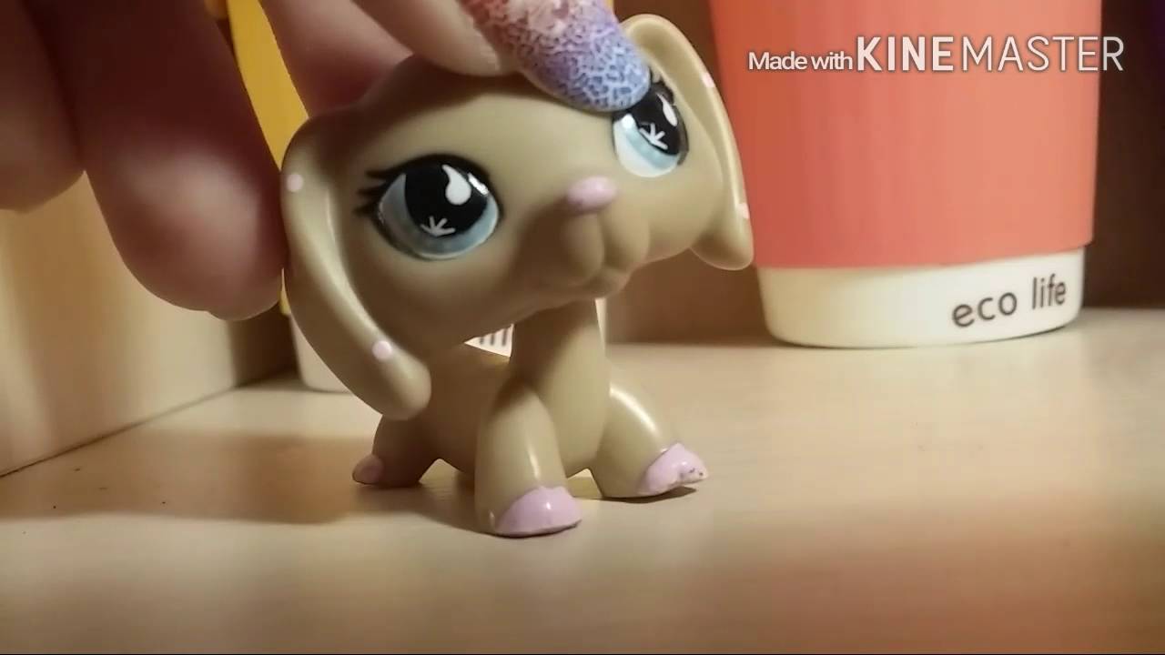 LPS: TAG: 10 любимых такс LPS. - YouTube