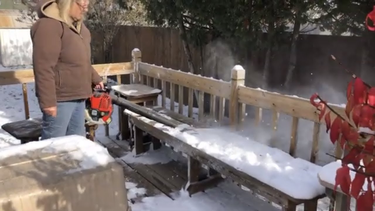 Sandhill Crane Migration Fly Over While Shoveling Snow - YouTube