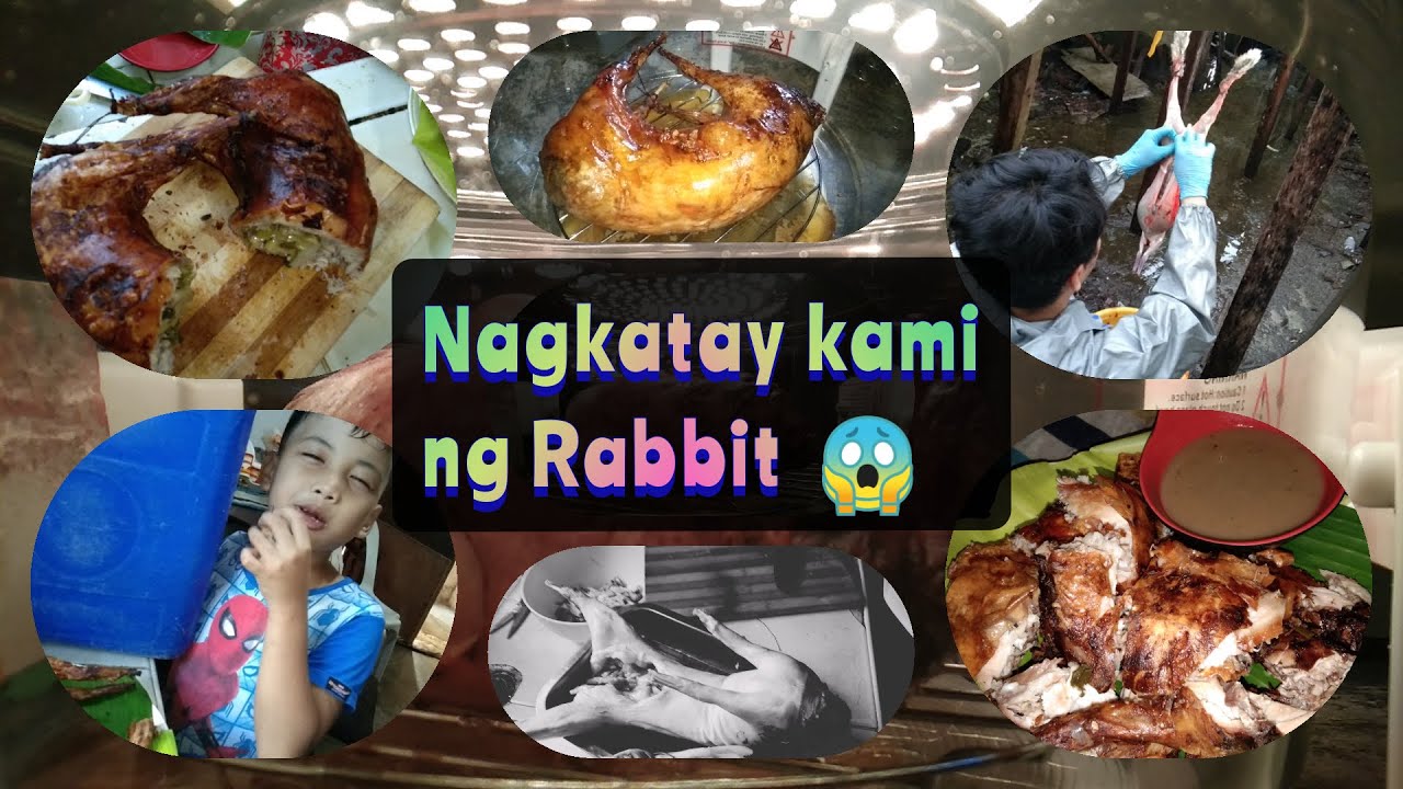 RABBIT LECHON/ROASTED RABBIT |MICBIE #rabbitlechon - YouTube