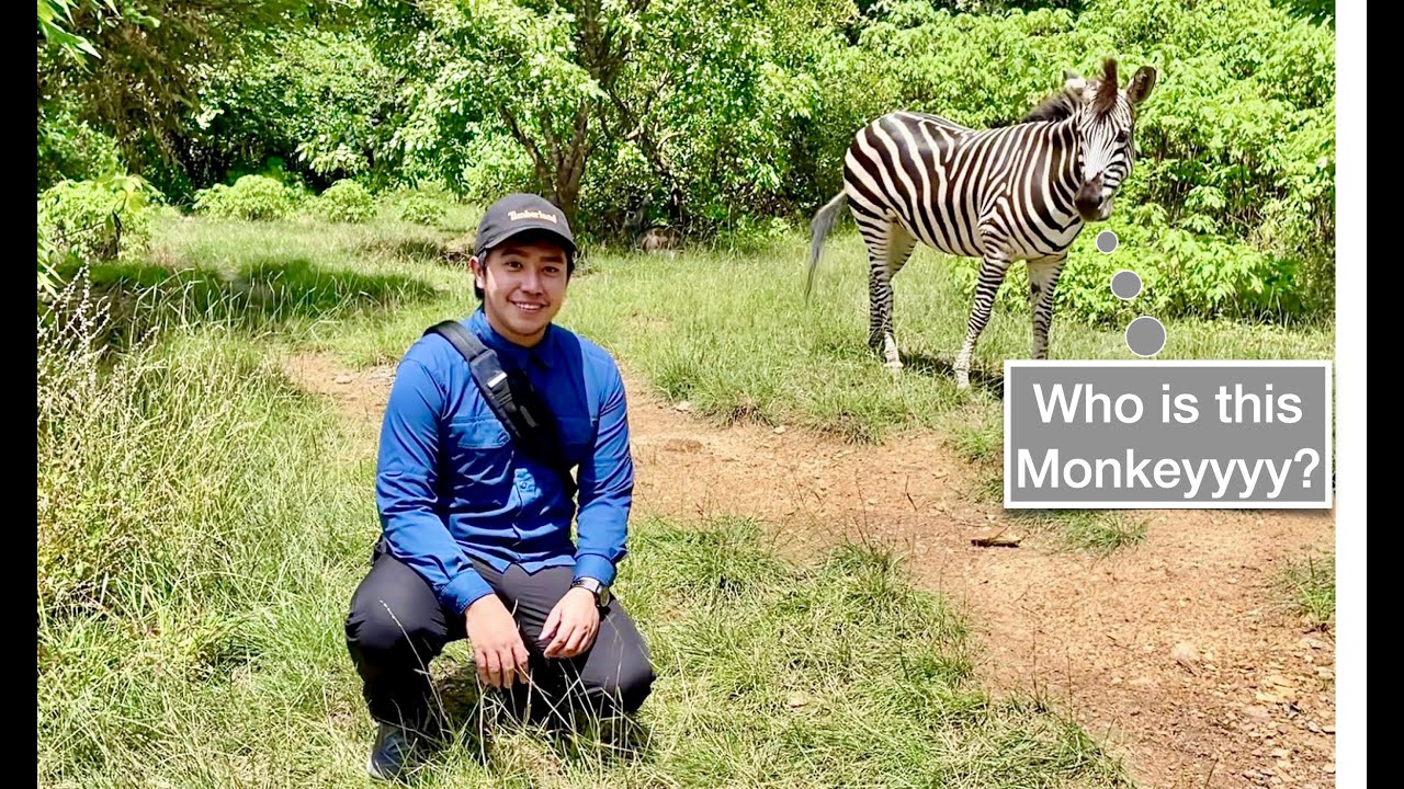 We Visited the Best Zoo in Congo | Lubumbashi Zoo - YouTube