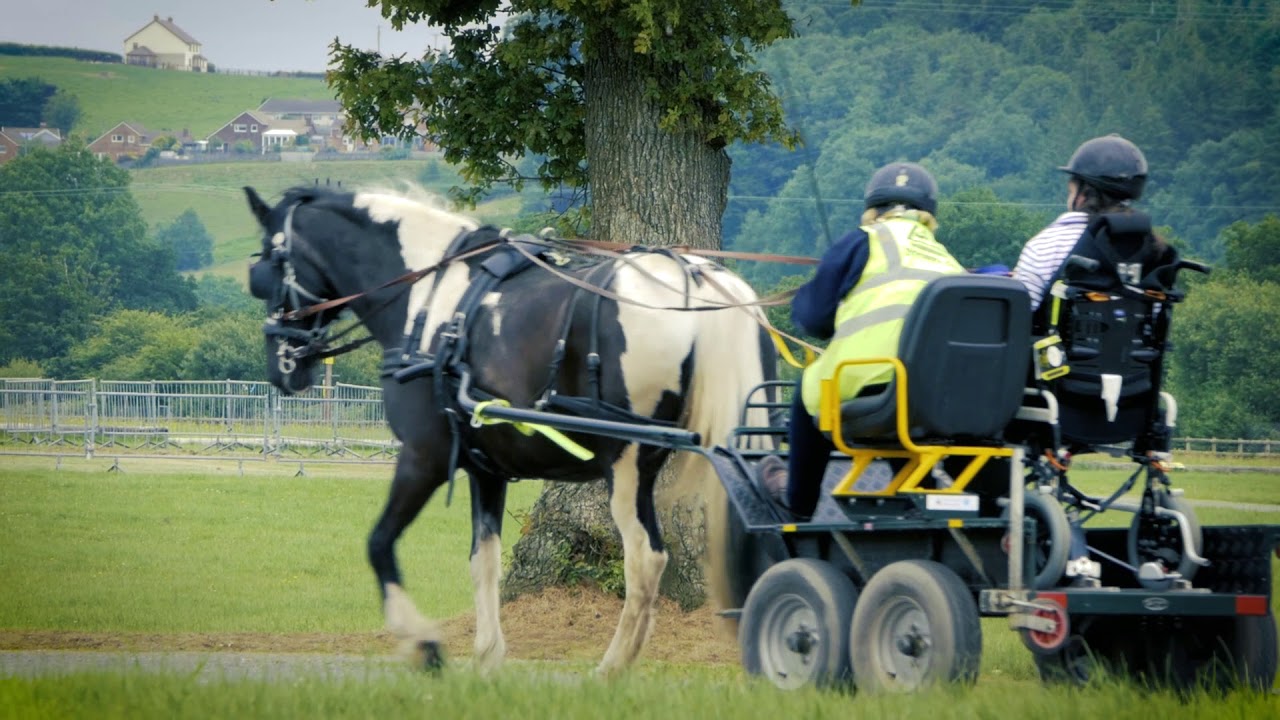Carmarthen Carriage Drivers for the Disabled - YouTube