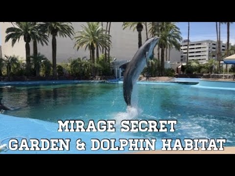 Mirage Siegfried & Roy's Secret Garden And Dolphin Habitat - Lion ...