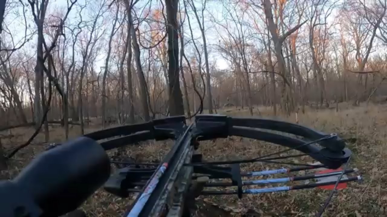 MY FIRST CROSSBOW HUNT EVER (PUBLIC LAND) - YouTube