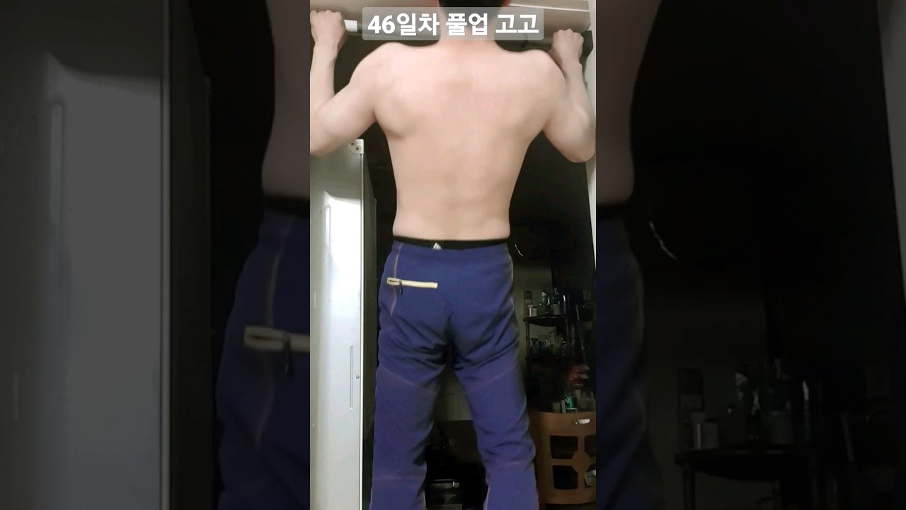 46일차 밤풀업 좋아요 #pullups #pullup #턱걸이 #풀업 #멸치 #철봉 #shorts - YouTube