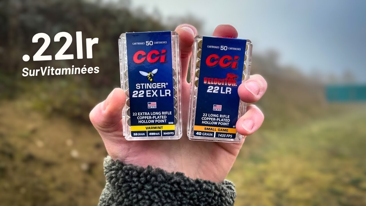 22lr De L Extr me CCI STINGER Vs VELOCITOR YouTube 22lr-de-l-extr-me-cci-stinger-vs-velocitor-youtube
