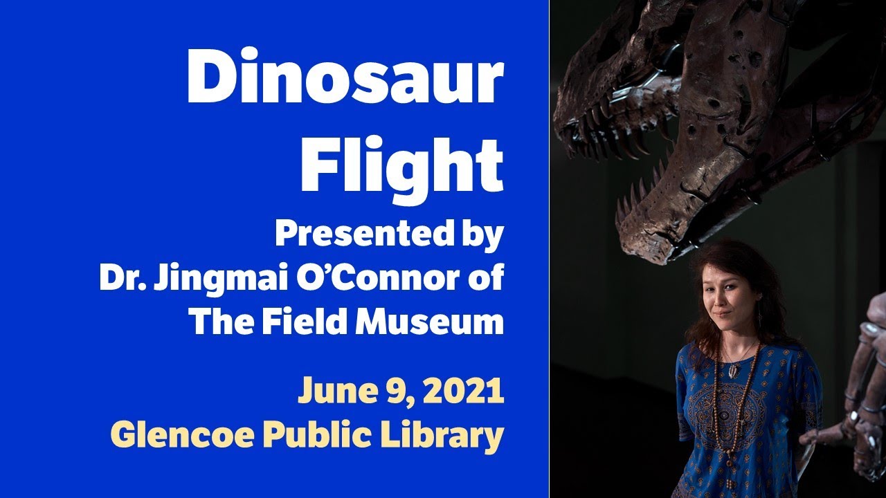 Dinosaur Flight - YouTube