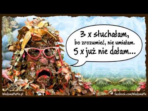 Pragnę zrozumieć... ile wejdzie Polsk, do takiej Francji?