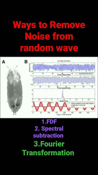 Fourier Transform -Ways to remove noise from a wave. - YouTube