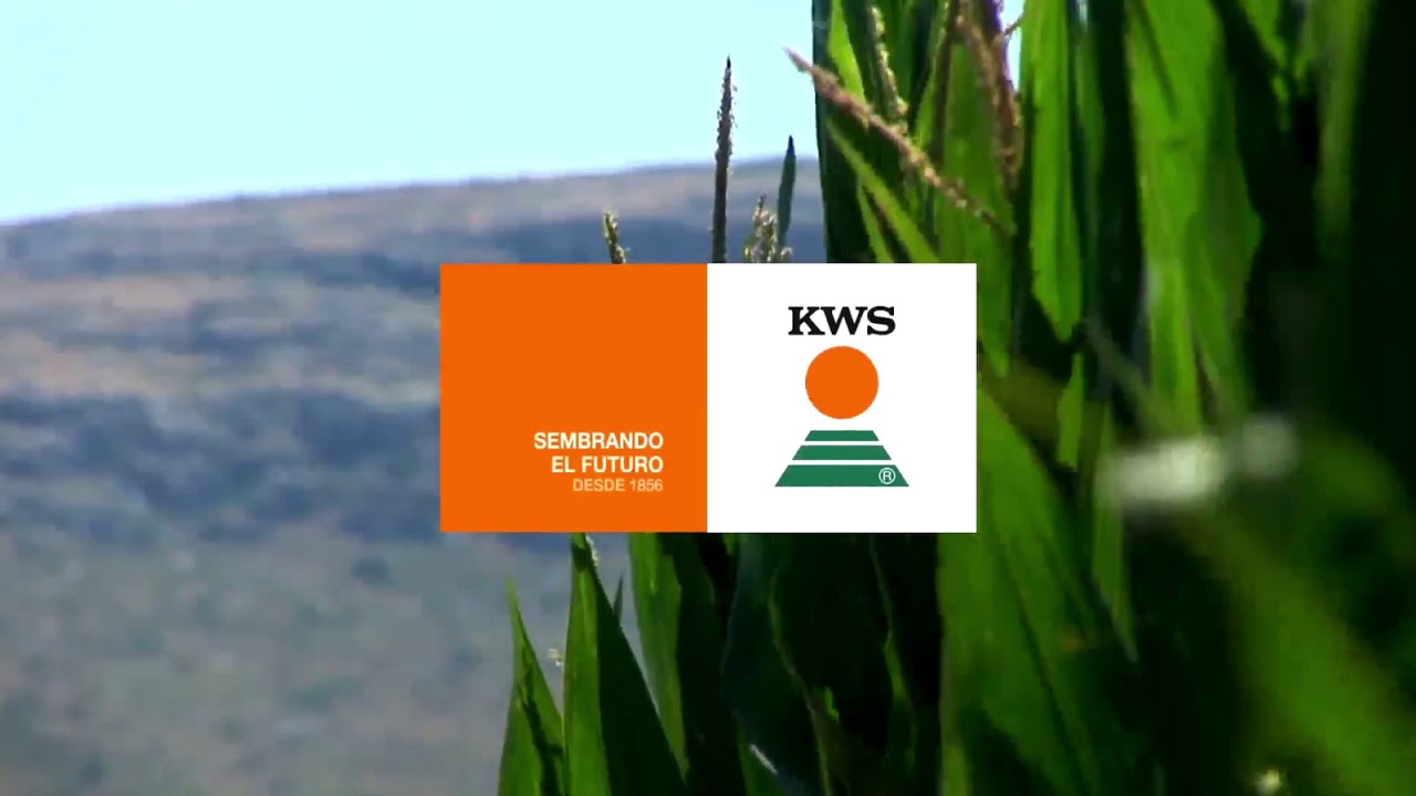 Somos KWS - YouTube