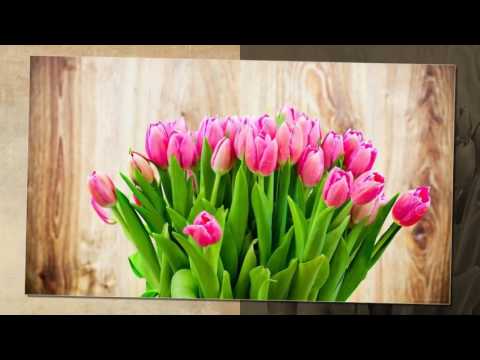 Krasivoe Pozdravlenie S 8 Marta  Originalnoe Pozdravlenie S 8 Marta  2017