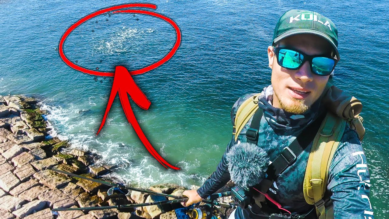 couldn't believe what I was seeing - fish popping off at jetties - YouTube