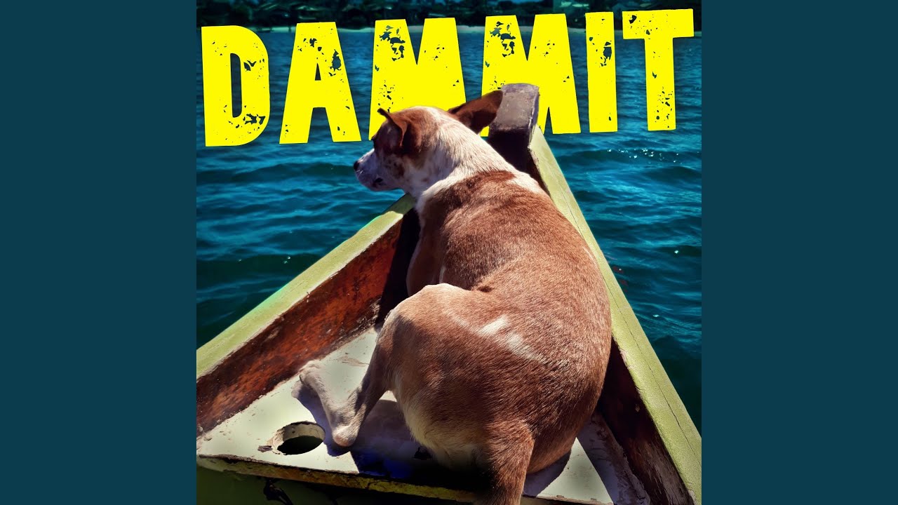 Dammit (Acoustic) - YouTube