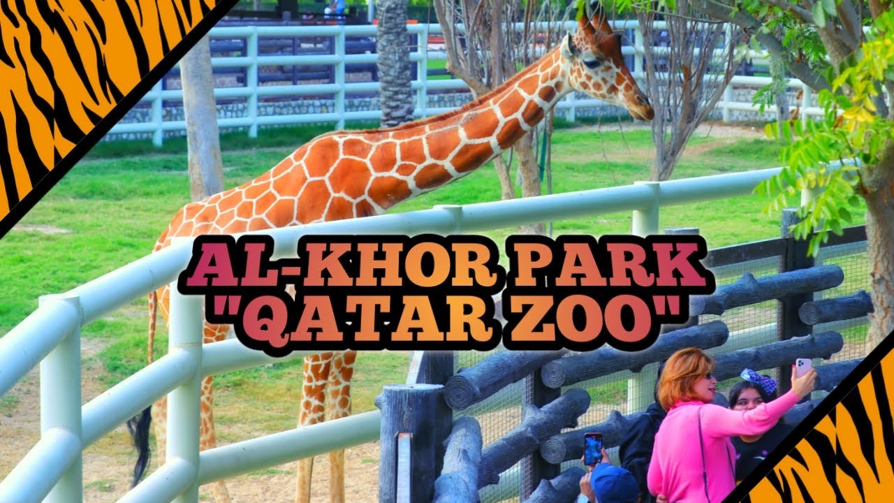 Al-Khor Park and Zoo | One The Best Destination in Qatar - YouTube