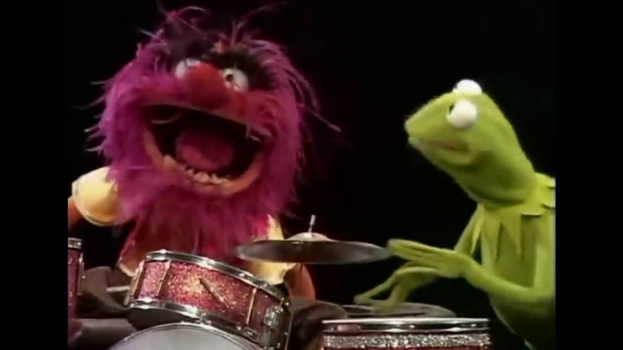 Os Muppets - Caco entrevistando Animal. - YouTube