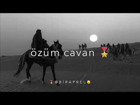 Duygusal video (Faytonçuyam)