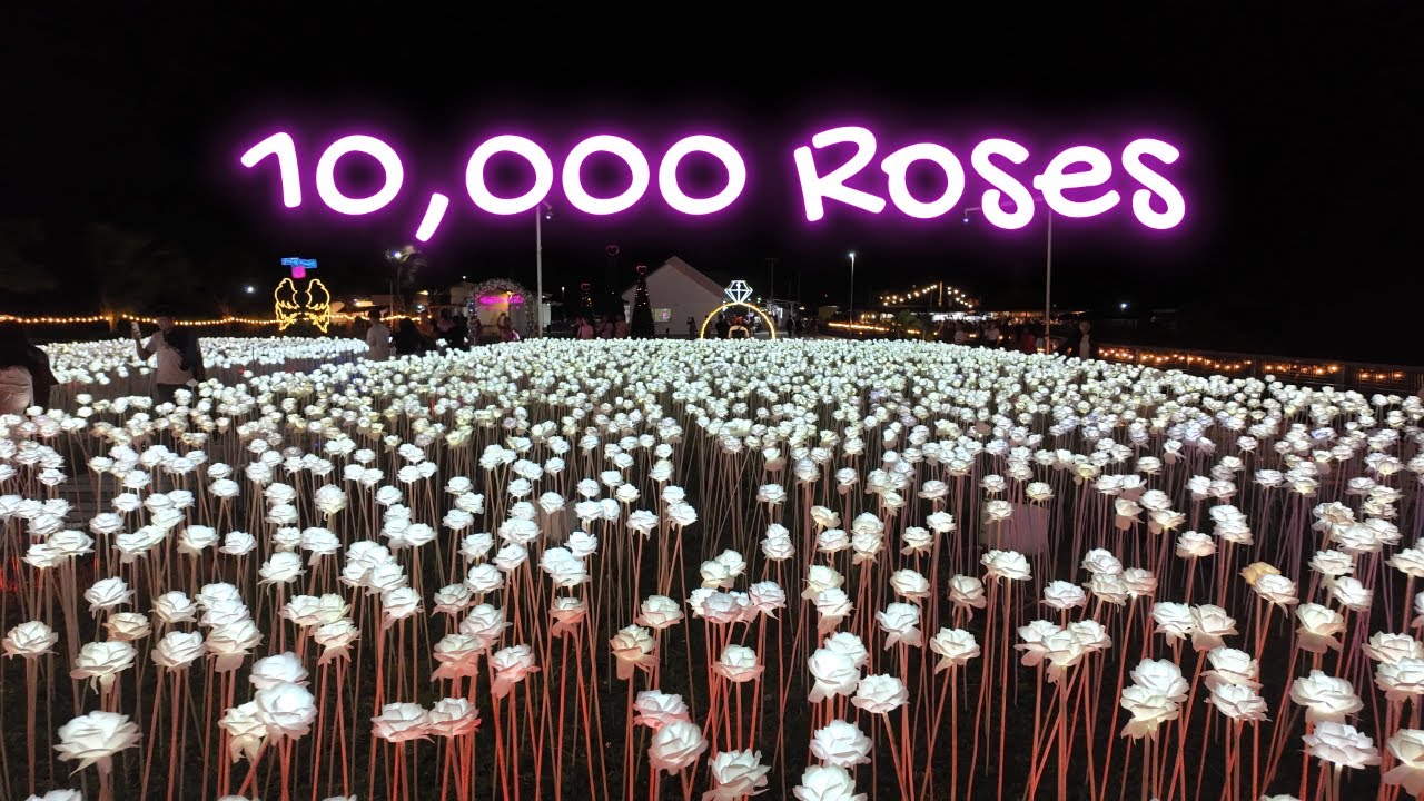 10,000 Roses Cebu Philippines - YouTube