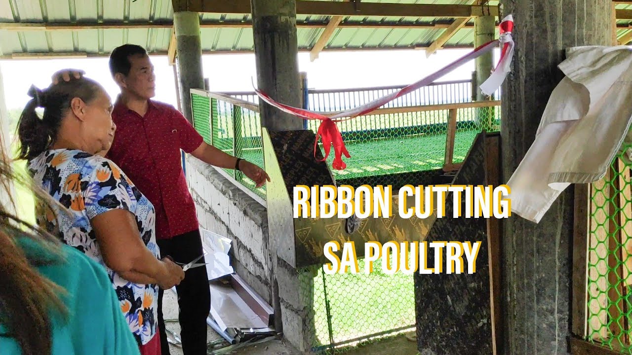 POULTRY BLESSING, TIPS SA PAG TATAYO NG POULTRY AT FOODTRIP #kaducks ...