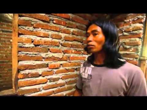 GEcKO Fried for Sale - YouTube