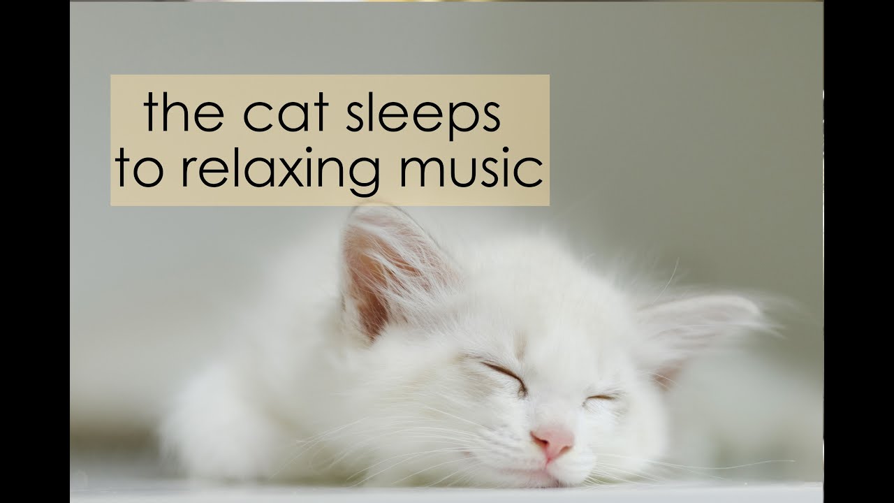 Bedtime Songs For Kids To Fall Asleep Stress Relief Music bedtime-songs-for-kids-to-fall-asleep-stress-relief-music