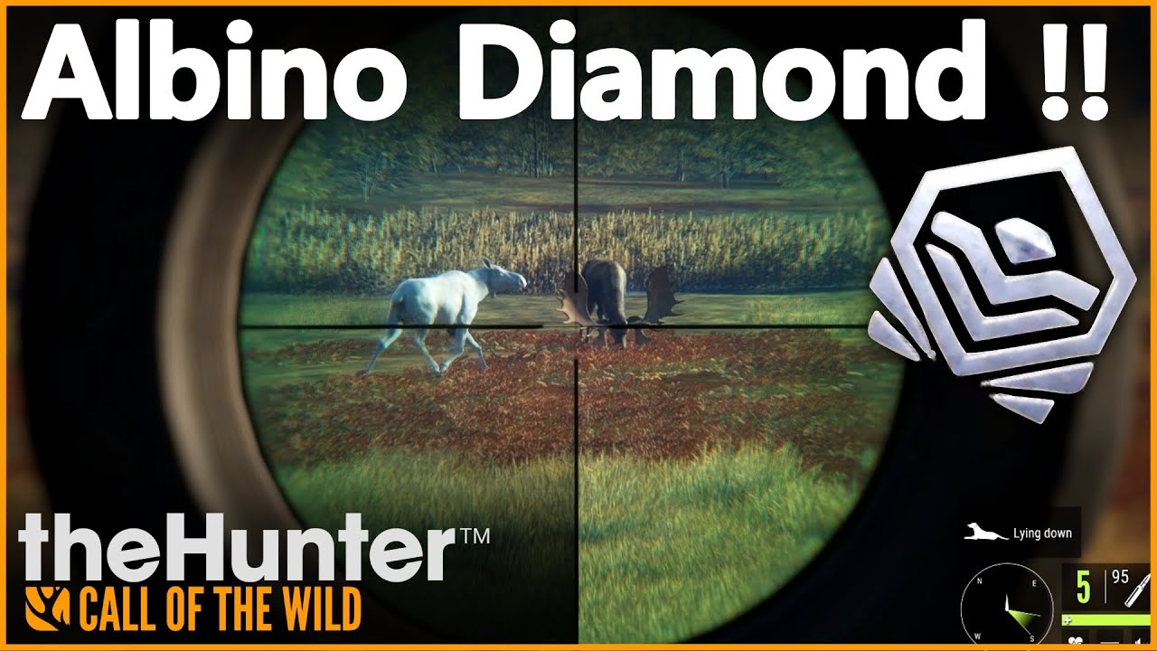 MOOSE ALBINO & DIAMOND TROPHY | The Hunter: Call of The Wild Gameplay ...