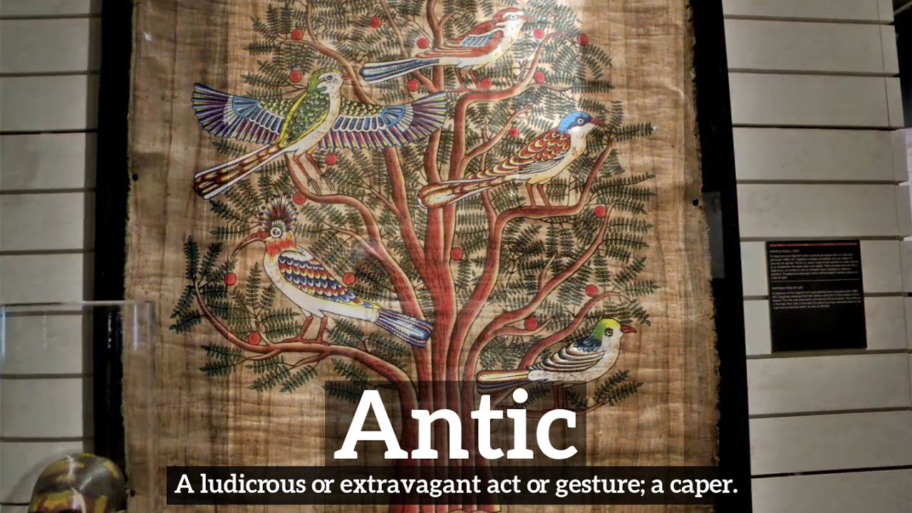 What is Antic? | How Does Antic Look? | How to Say Antic in English ...