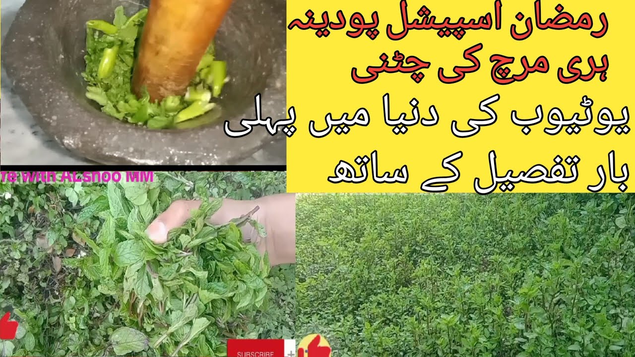 pudina ki chatni || mint sauce easy recipe || podine ki chatni by # ...