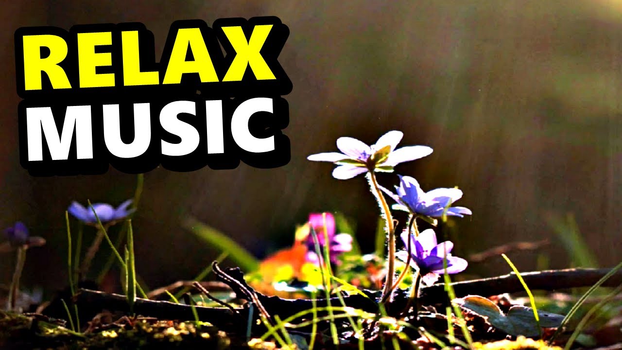Música Relajante Música Tranquila Y Agradable Slowly By Tokyo Music