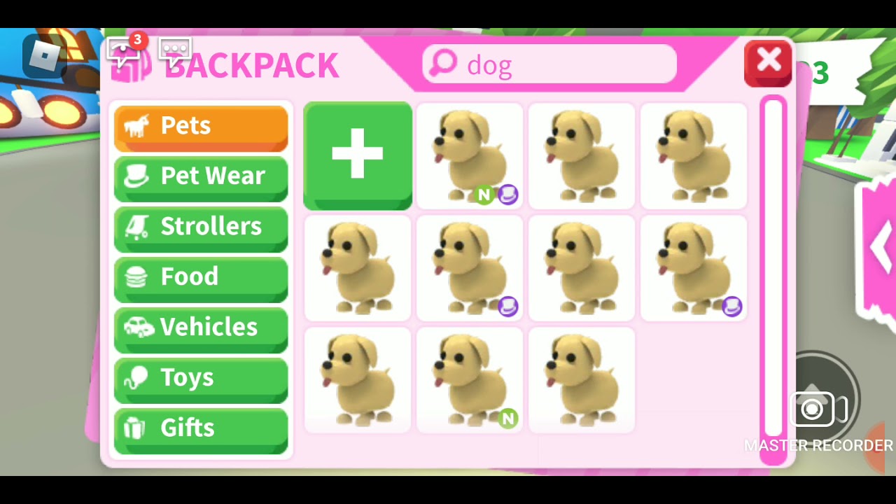 NEW SEA TURTLE IN ADOPT ME! Roblox Adopt Me Sea Egg - YouTube