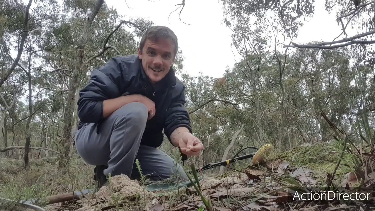 Nuggy time with the Gold Monster 🤙 - YouTube