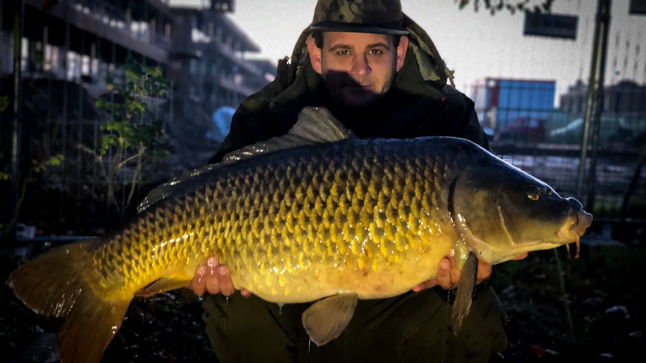 Succesvol Karper vissen in November - YouTube