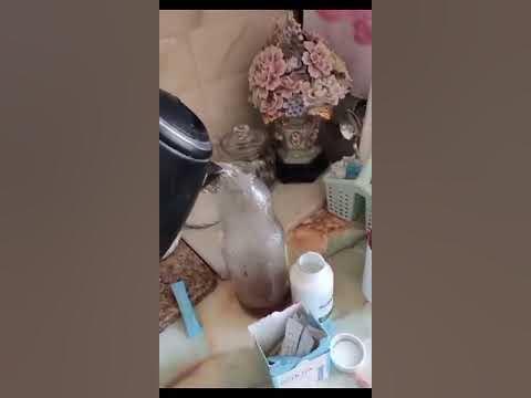 Чай для похудения от атоми - YouTube