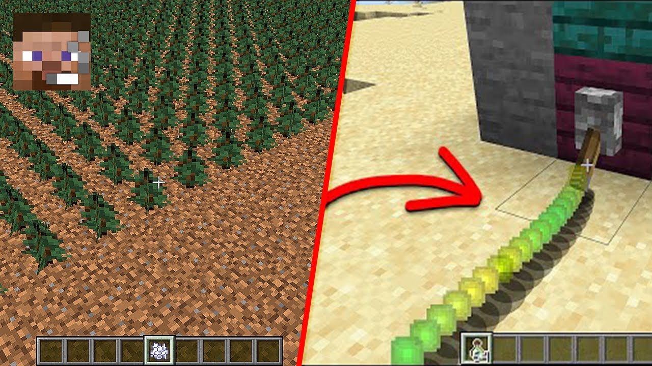 steveee best moments! this video will satisfy your brain ! Minecraft ...