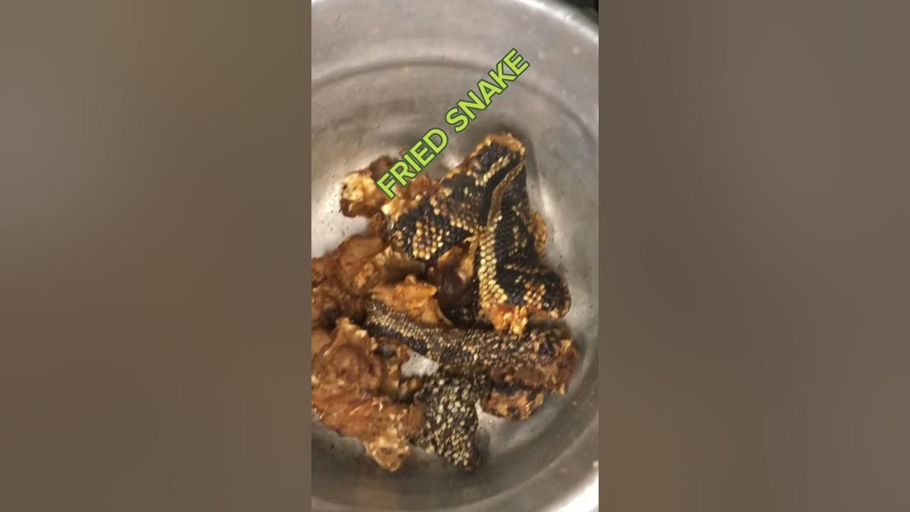 Fried python snake 🐍 #ghana #snakemeat#travel - YouTube