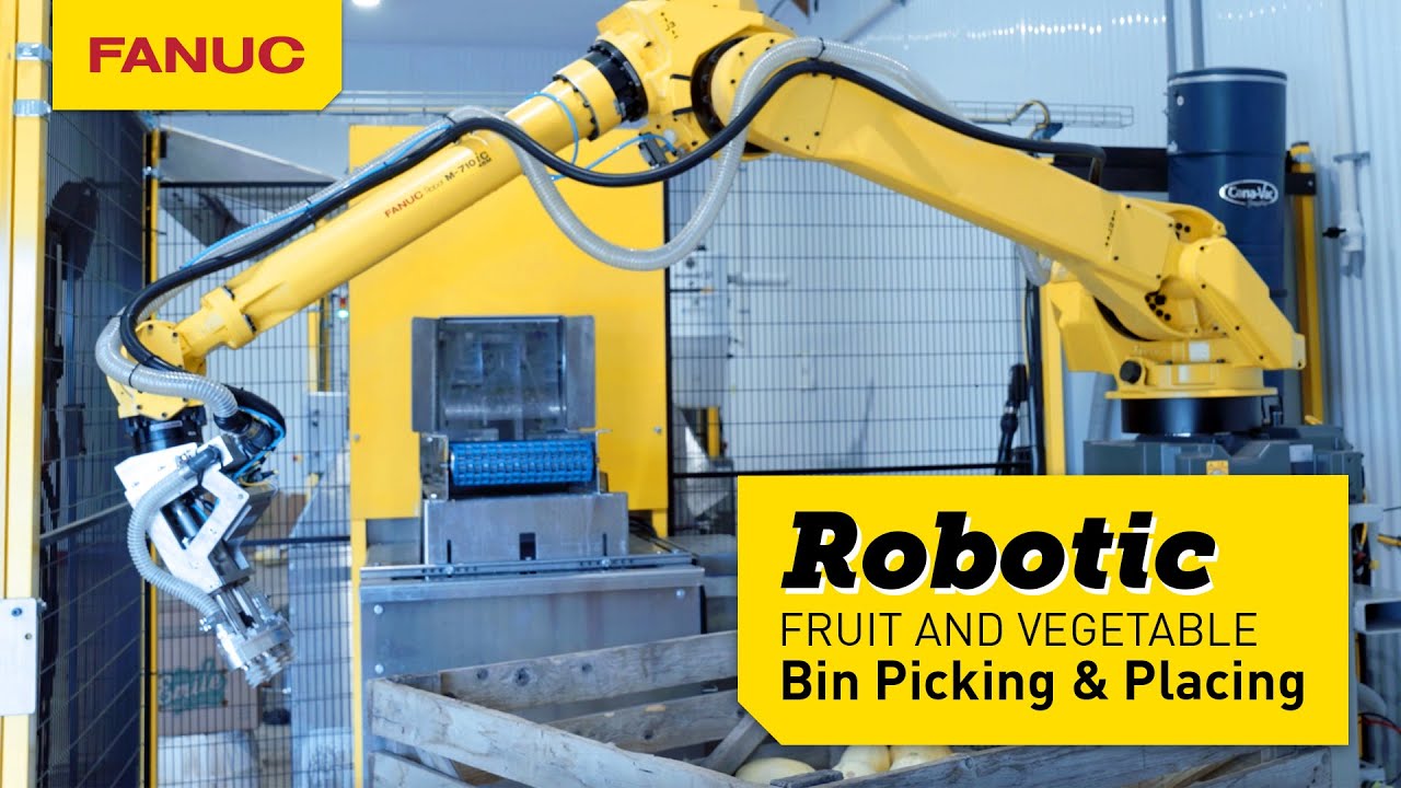 Agricultural Bin Picking With Genik - YouTube