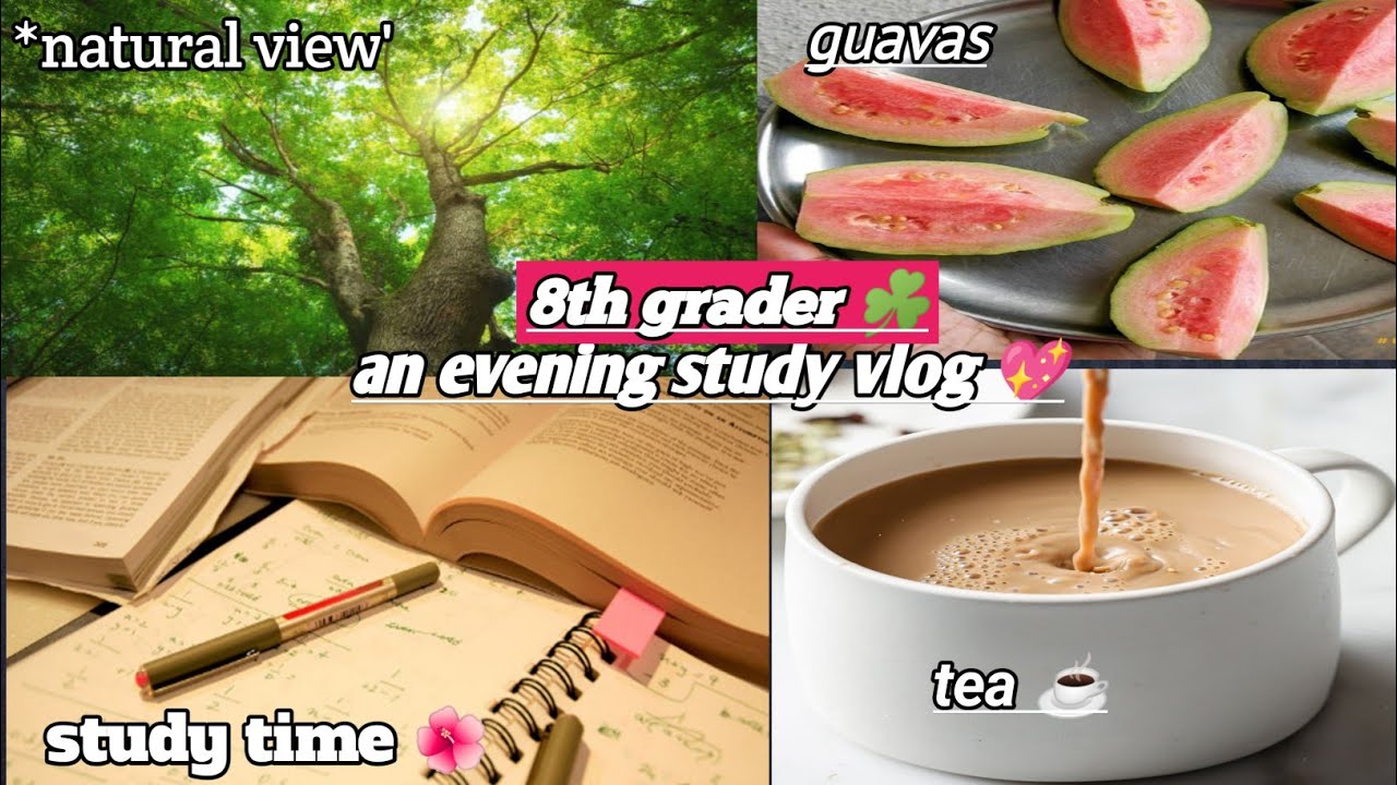 productive evening study vlog 🎀 ( productive+ fun + study) - YouTube