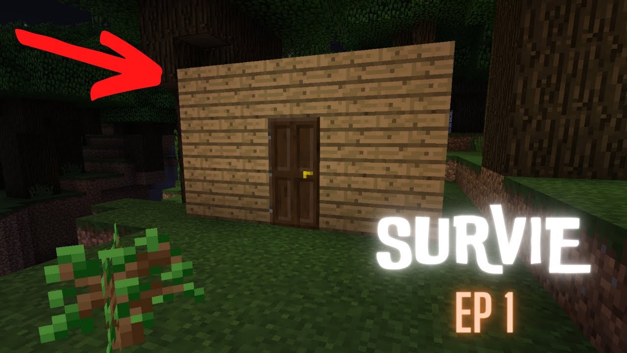 SURVIE MINECRAFT COOP ! - EPISODE 1 - YouTube