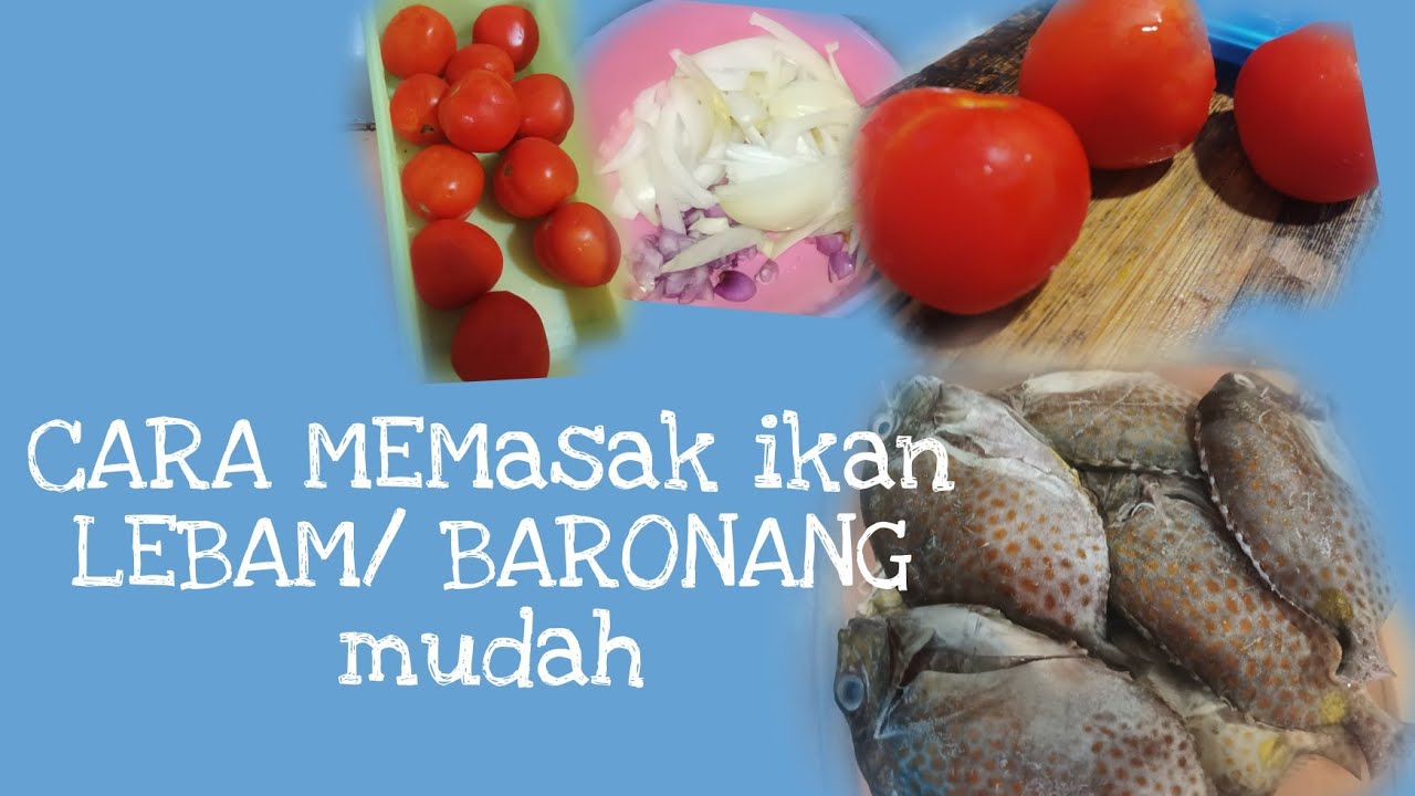 Cara Memasak Ikan Lebam / Ikan Baronang Mudah - YouTube
