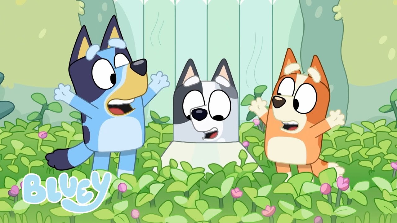 Primavera | Bluey Español Canal Oficial - YouTube