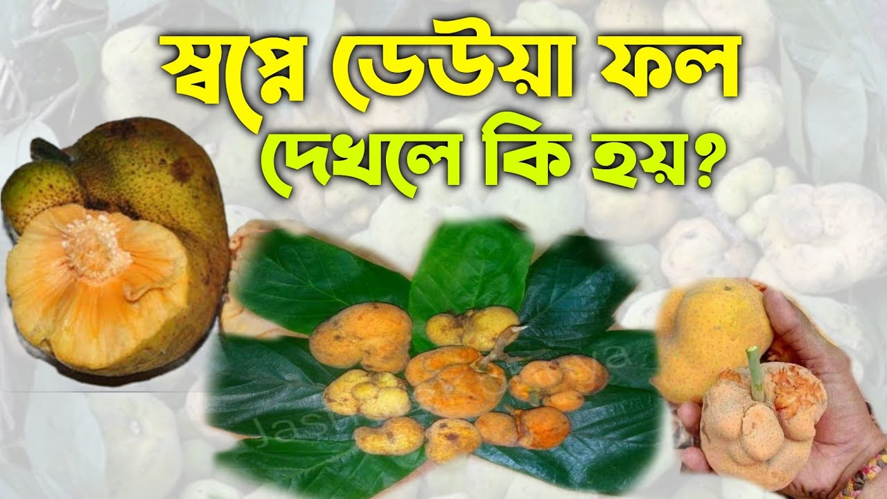 স্বপ্নে ডেউয়া ফল দেখলে কি হয় | swpne deuwa fol dekle ki hoy | স্বপ্নে ...
