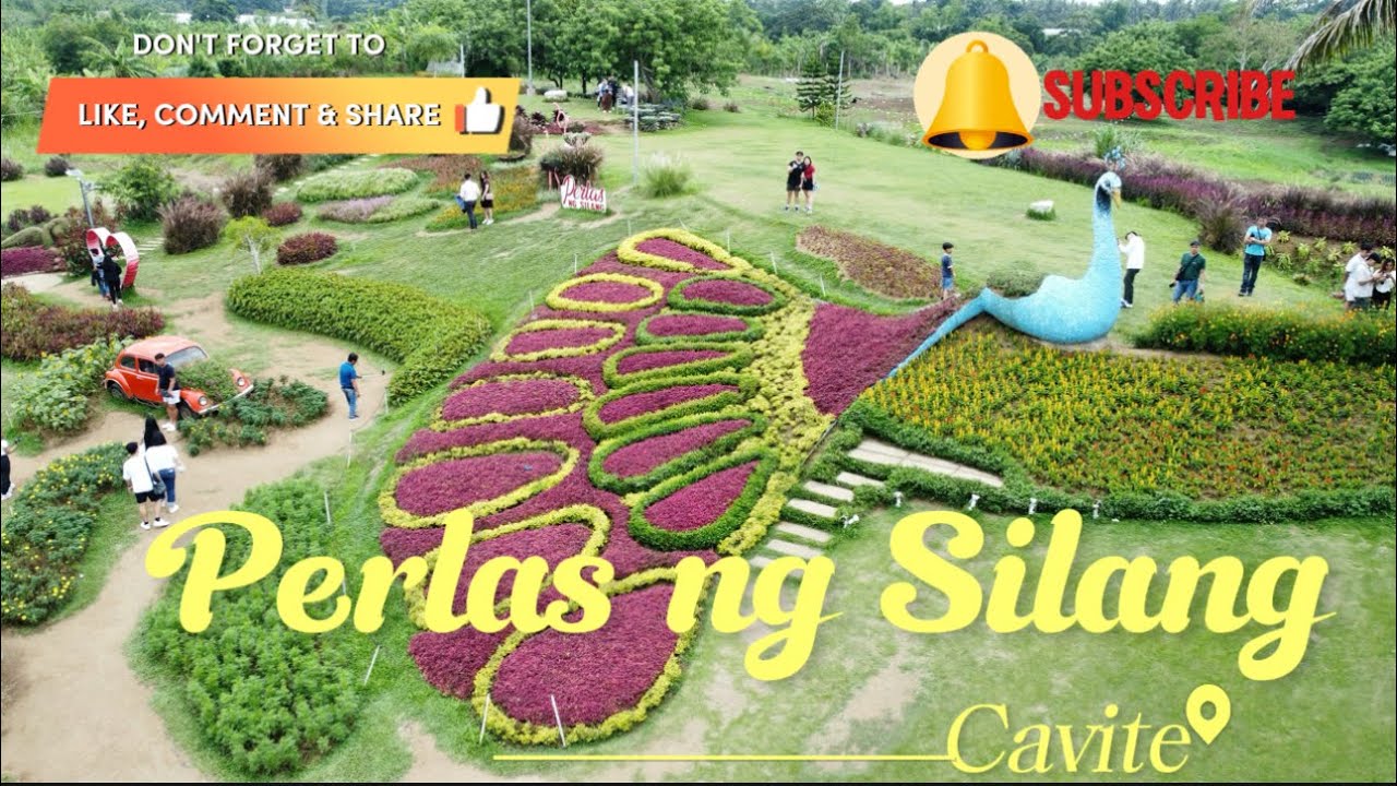 “Perlas ng Silang” Flower Farm 🌸🌺🌼💐 - YouTube