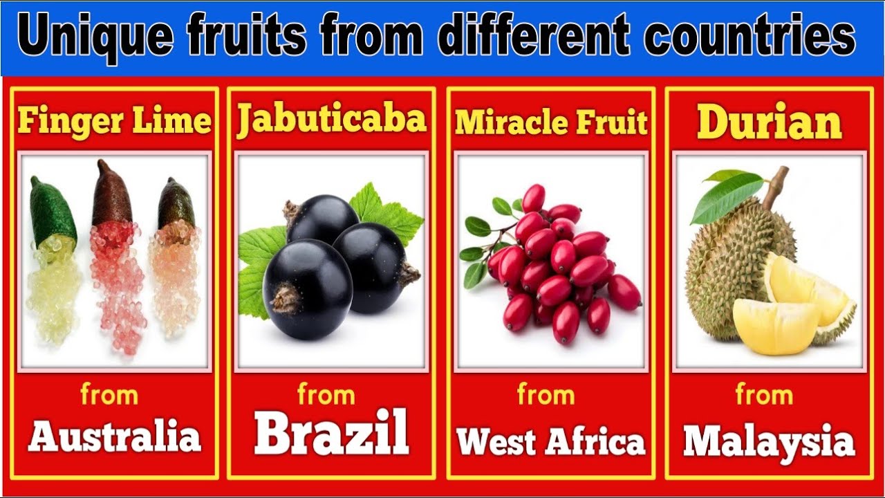 Unique Fruits of the World | Fruits You’ve Never Seen Before Unique ...