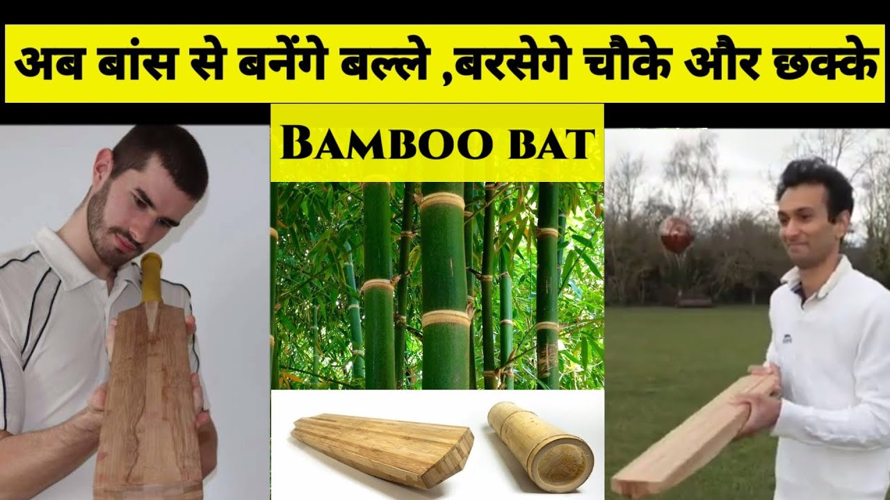 Bamboo Bats : अब बांस के बल्ले से बरसेंगे चौके और छक्के ,Bamboo Cricket ...