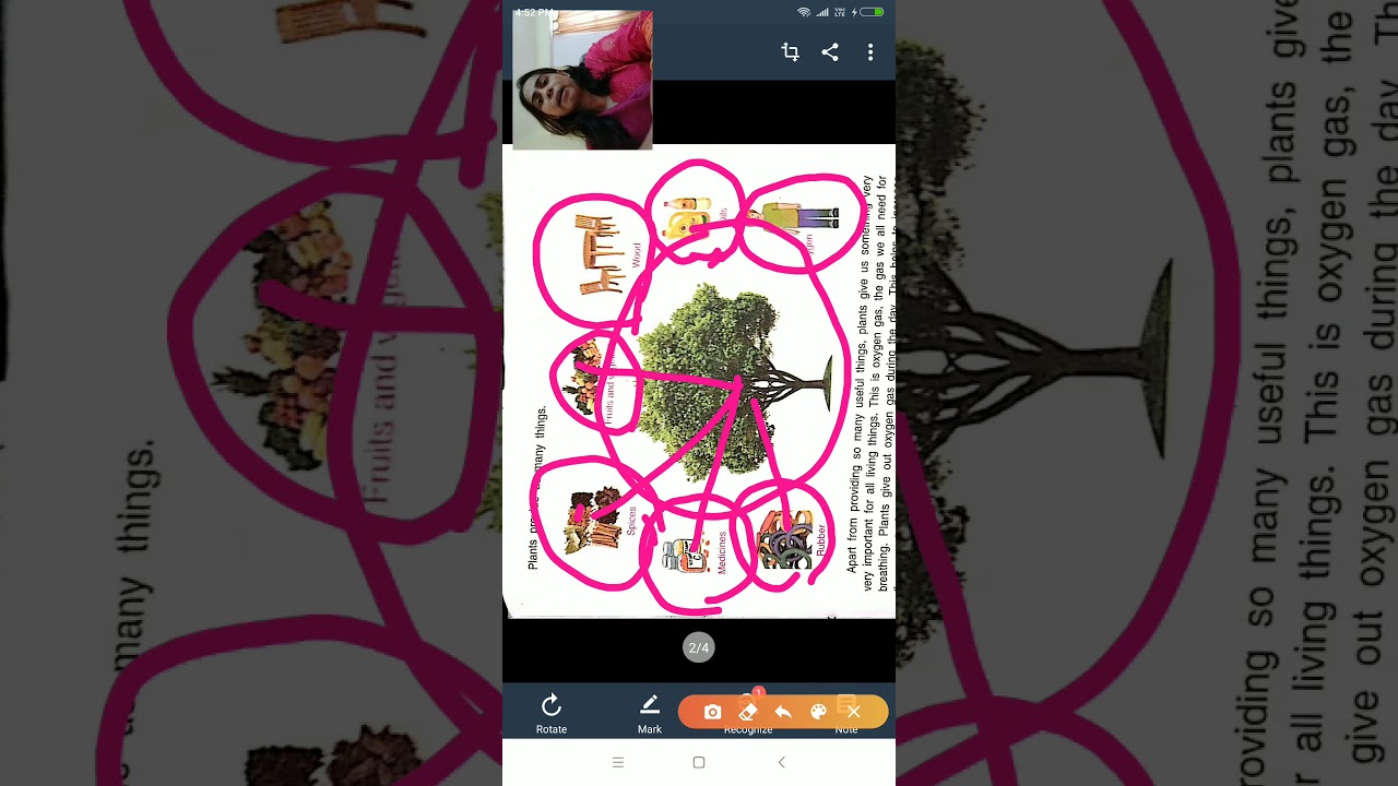 Importance Of Plants For Class 3 Part 1 YouTube Importance Of Plants For Class 3 Part 1 YouTube