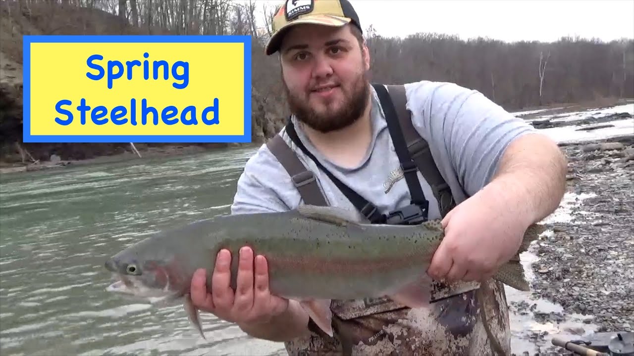 Center Pin Fishing for Spring Steelhead - YouTube