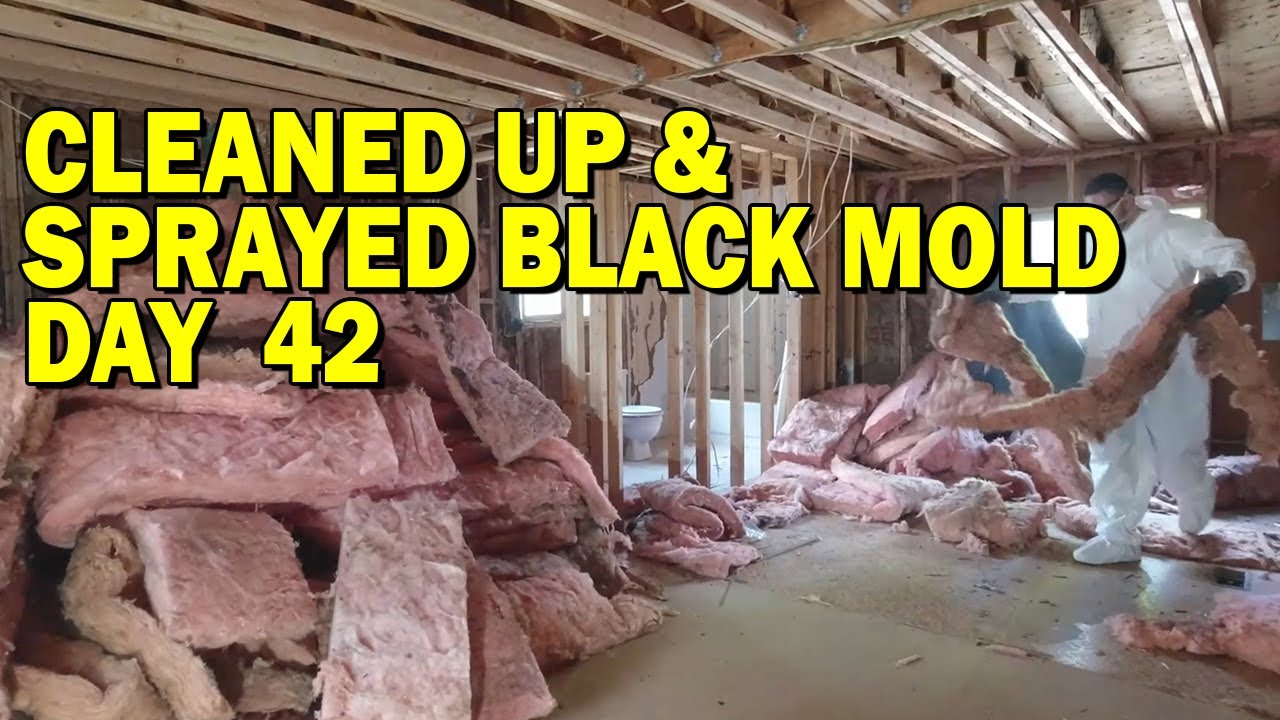 Cleaning up mobile home and spraying black mold with rmr 86 | 42 mobile ...