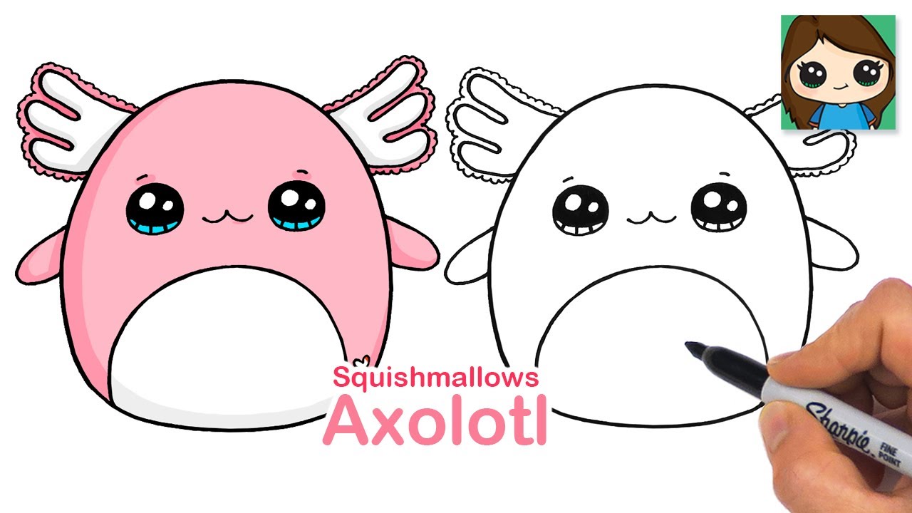 How to Draw an Axolotl Easy | Squishmallows - YouTube