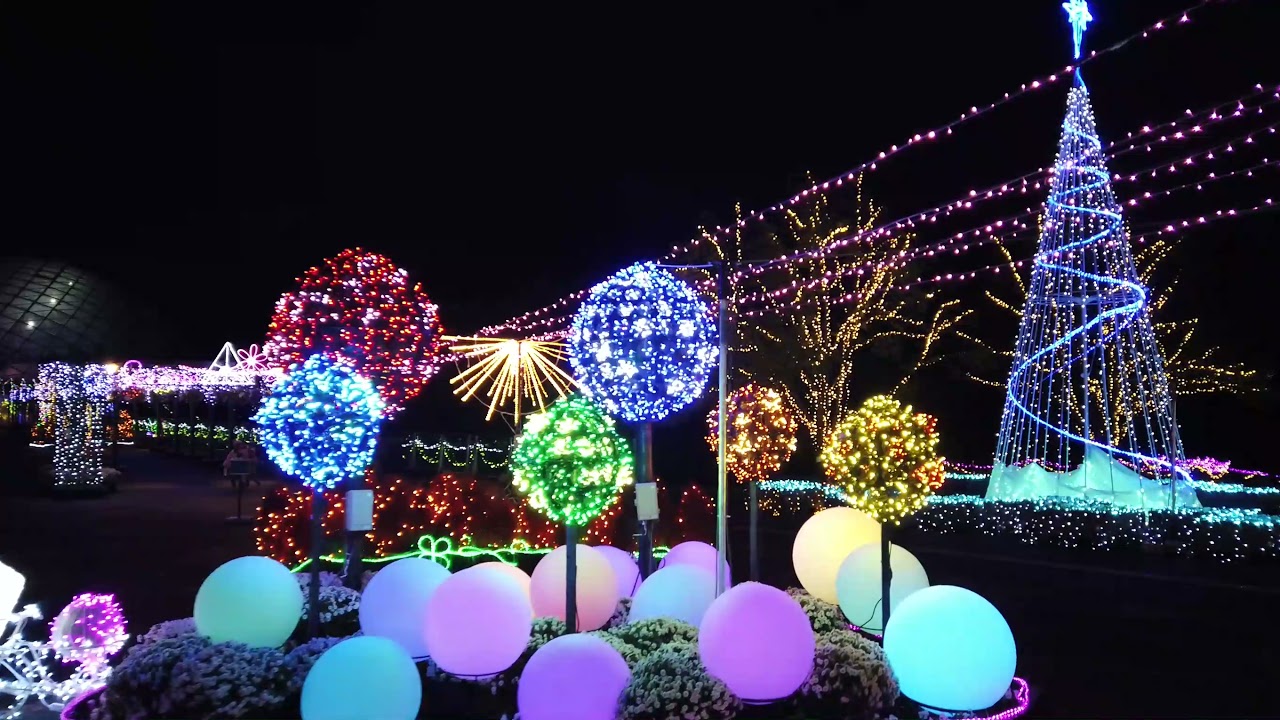 Flower Illumination in Tottori Hanakairo - Flower Park とっとり花回廊 - YouTube