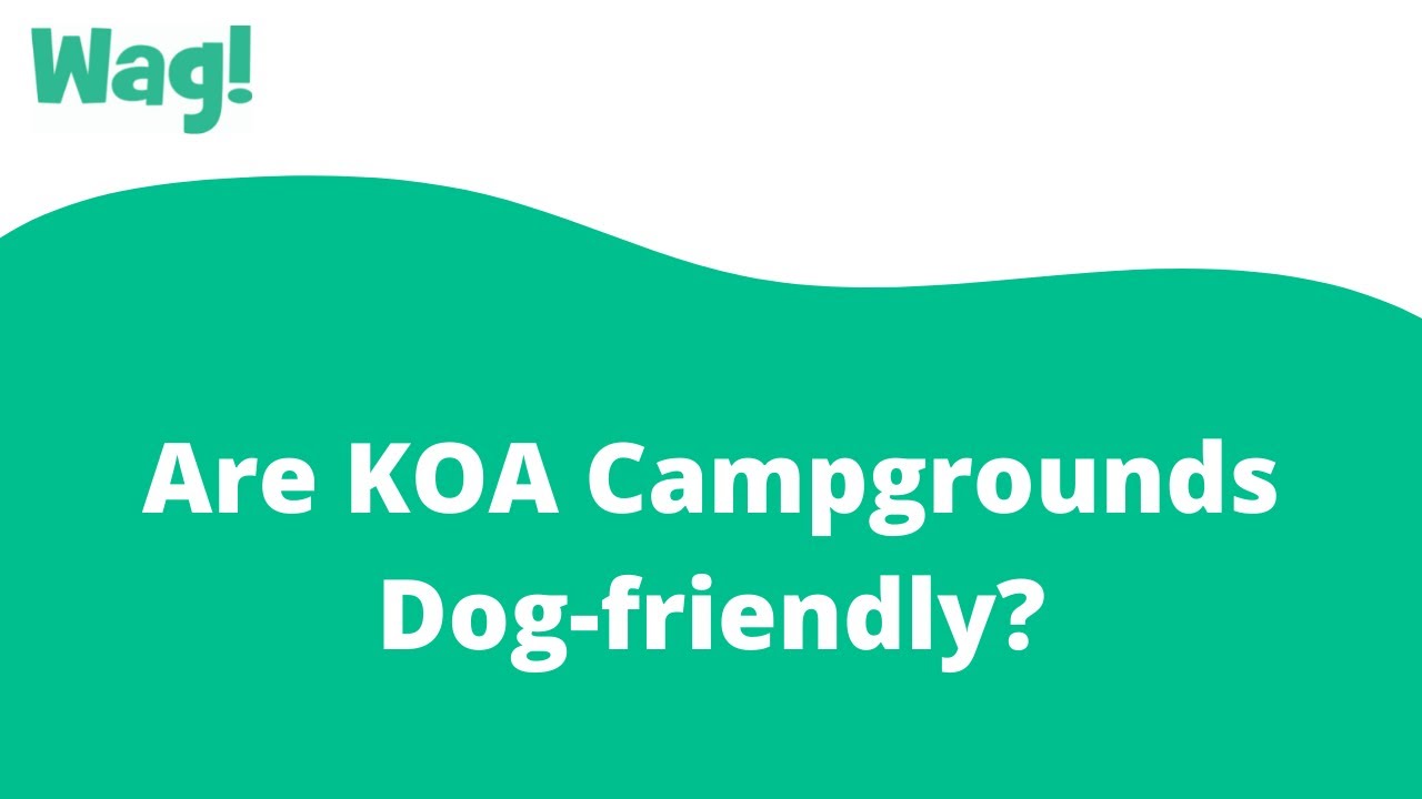 Are KOA Campgrounds Dog-friendly? | Wag! - YouTube